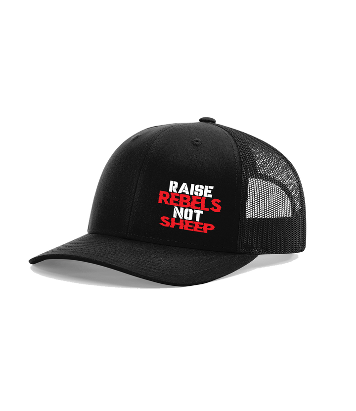 Buy Hats Online – officialhodgetwins